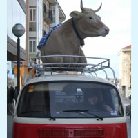 Diferenças entre "Baca" e "Vaca" em Espanhol